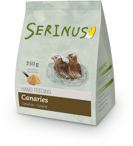 Serinus Hand Feeding Canary Garden Feathers Bird Supplies | Poultry ...