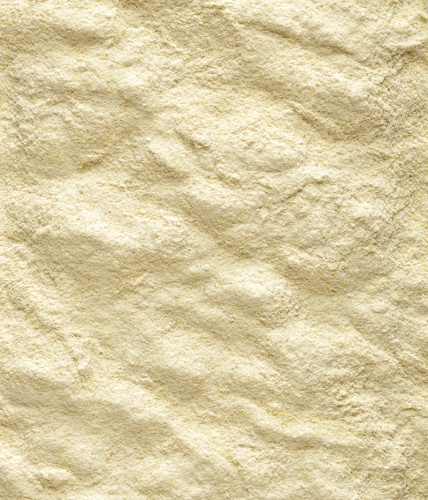 Versele Laga NutriBird A19 Hand Rearing Garden Feathers Bird Supplies ...