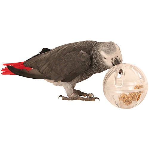 Buffet Ball Parrot Toy | Fun Food Foraging Toy for Parrots Garden ...