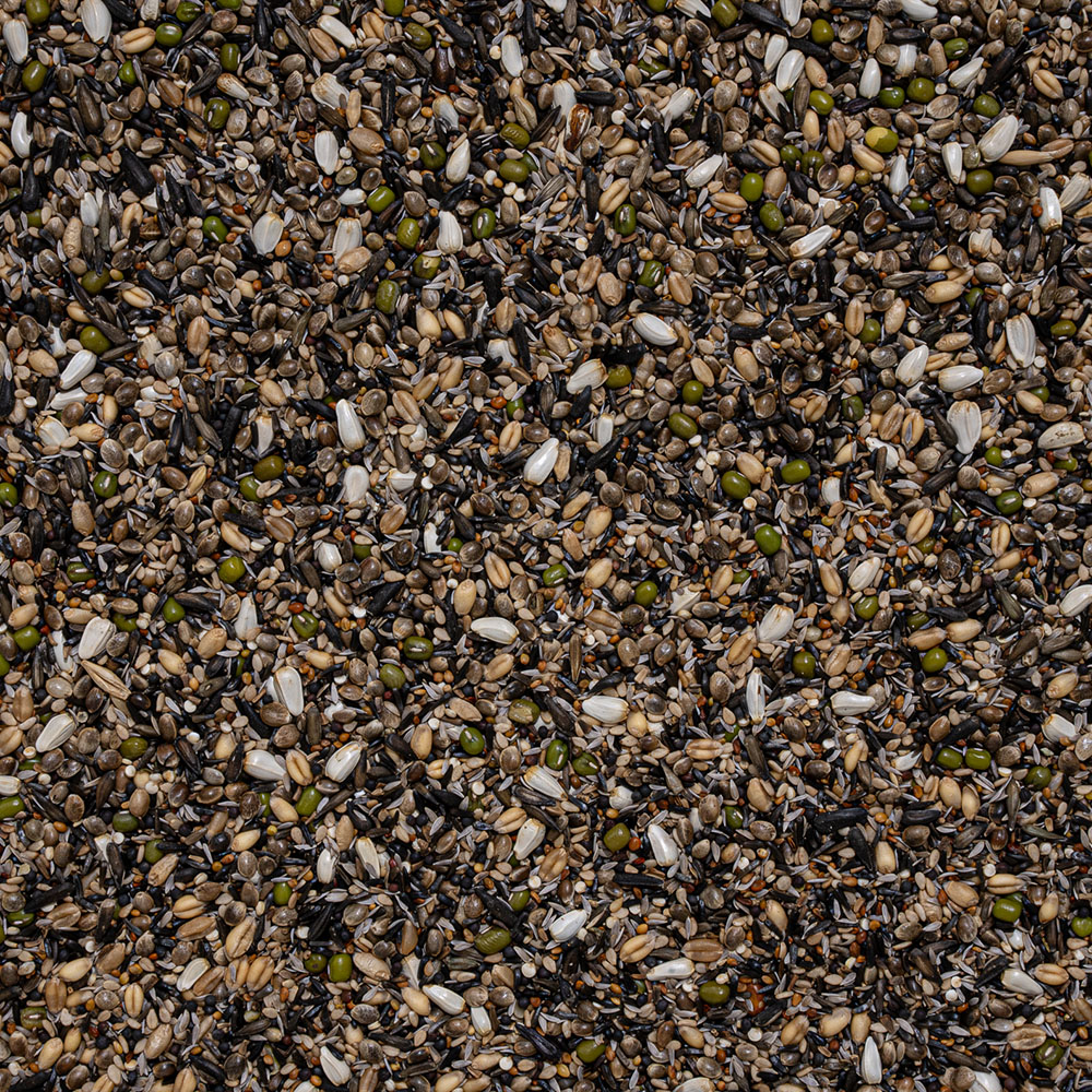 Deli Nature 38 Germination Seeds British Finches Supreme Garden ...