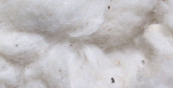 Cotton Nesting Material 500g Garden Feathers Bird Supplies | Poultry ...