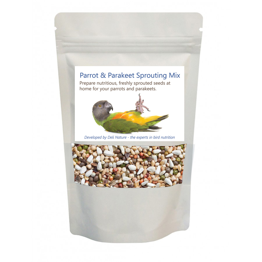 Beyers Deli Nature 33 Germination Seed Large Parakeets & Parrots Garden ...