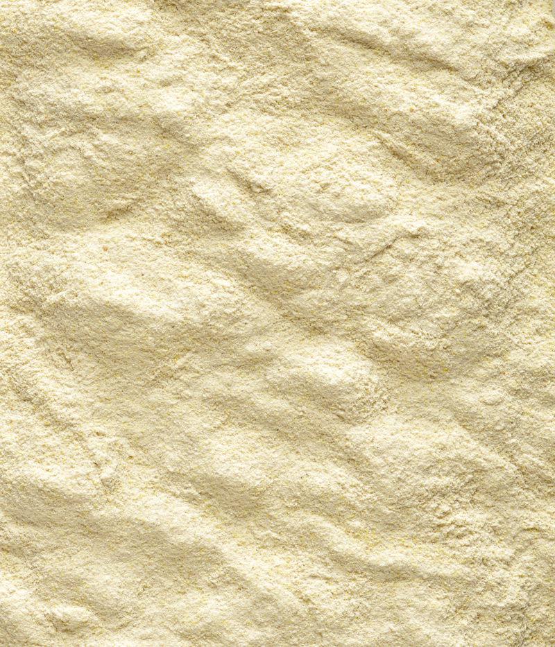 Versele Laga NutriBird A19 Hand Rearing Garden Feathers Bird Supplies ...