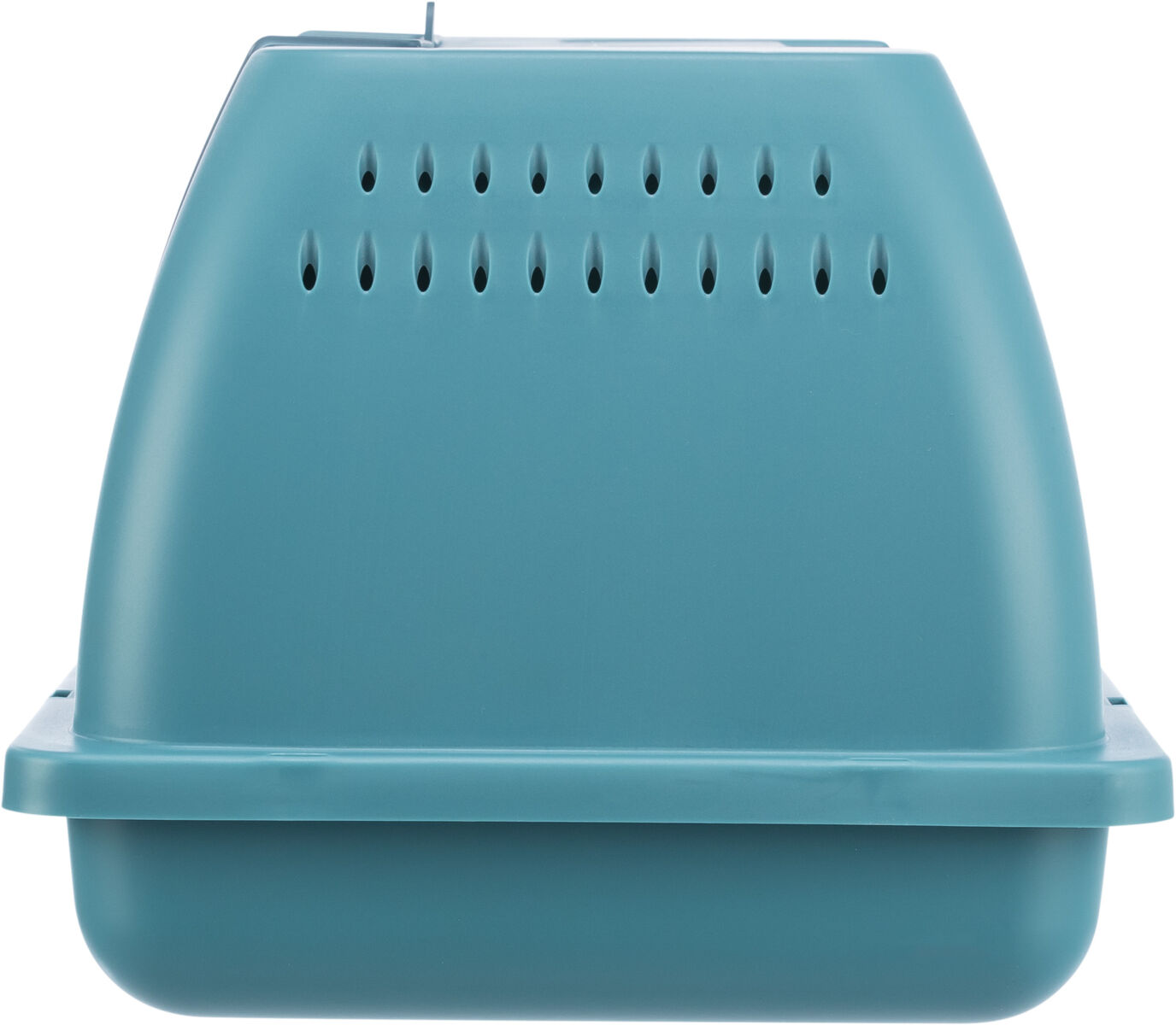 Plastic Carry Box With Perch - Large (Blue) Garden Feathers Bird ...