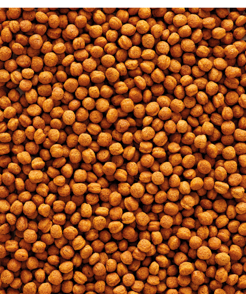 Versele Laga Nutribird T16 Pellets Garden Feathers Bird Supplies ...